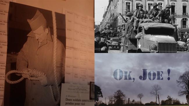 Ok, Joe ! | LCP - Assemblée nationale