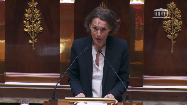 Lutte contre les violences conjugales : la création de l'ordonnance de ...